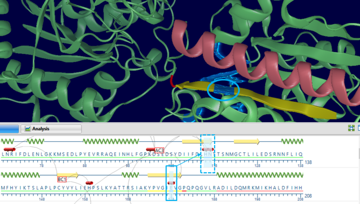 Clinical Bioinformatics – Student 3d protein structure postings | Mark ...
